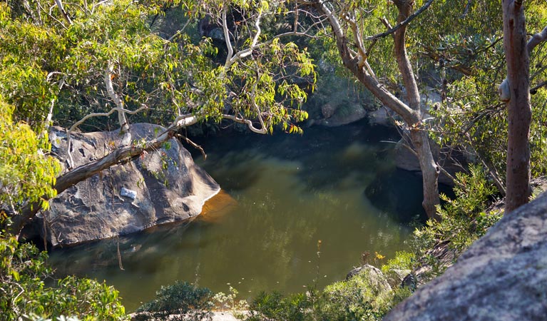 Jellybean Pool, Blue Mountains National Park, NSW - Active in Parks