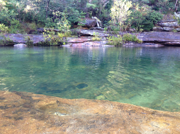 Karloo Pools, Royal National Park, NSW - Active in Parks