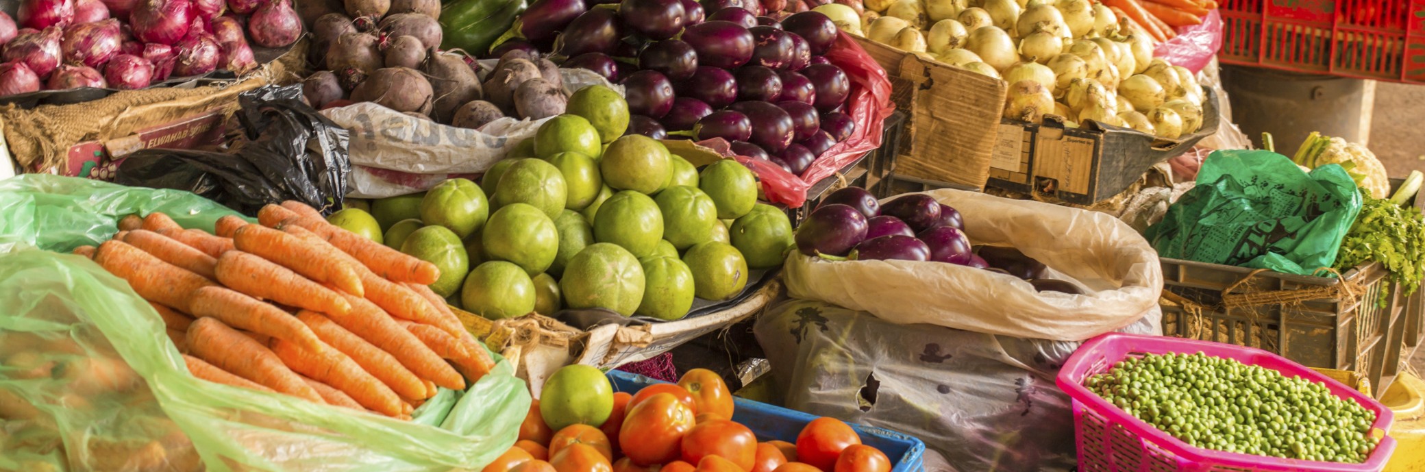 Farmers' Markets in Leader Street, Wayville, SA - Active in Parks