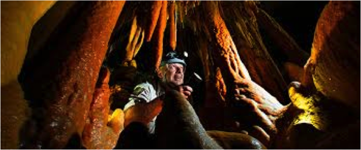 Buchan Cave Tour - Active in Parks