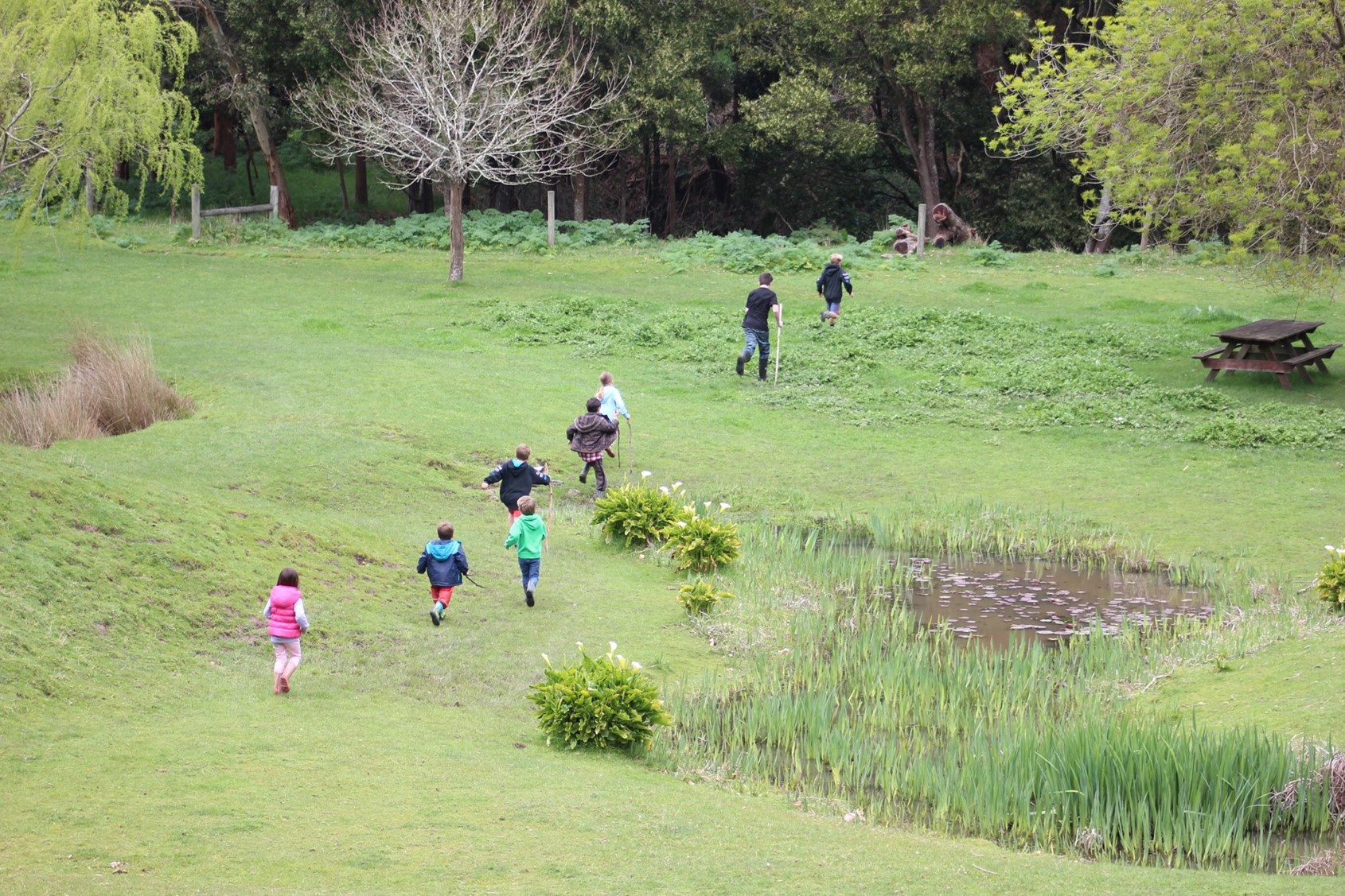 Nurture in Nature - Mini Family Nature Connection Retreat - Active in Parks