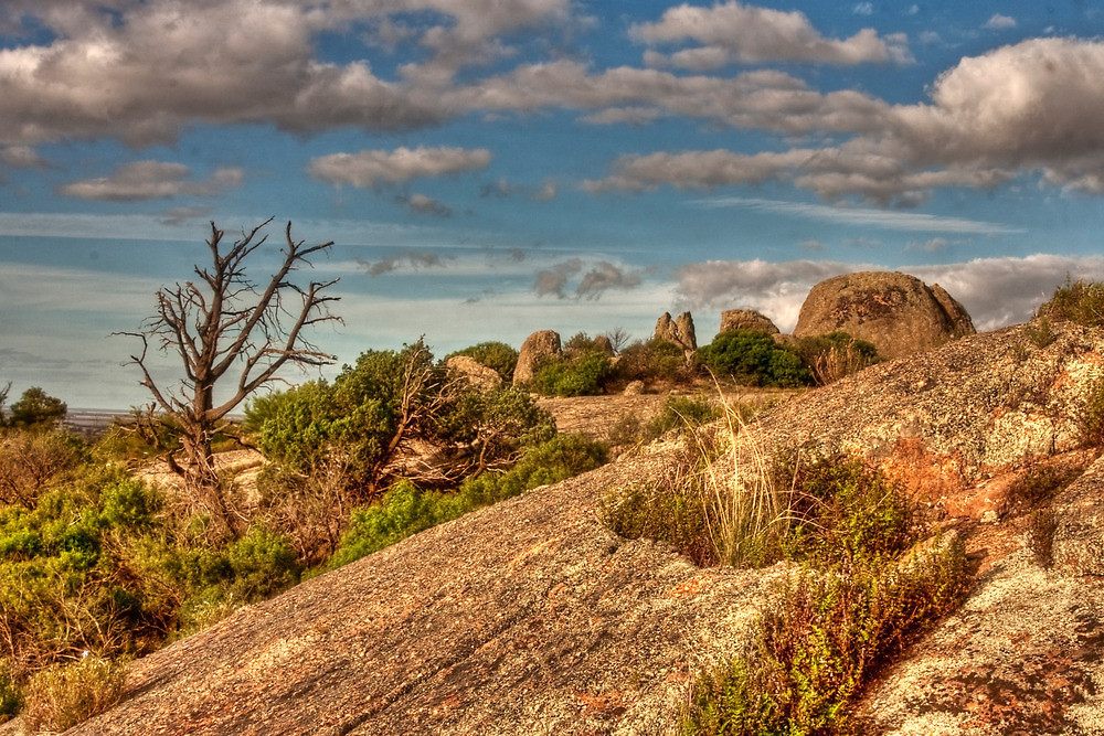 Terrick Terrick National Park Conservation - Active in Parks